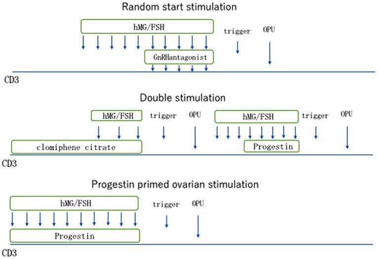 Hiệu quả của phác đồ PPOS trên kết cục hỗ trợ sinh sản ở BN lớn tuổi từng TTTON thất bại: Một ...